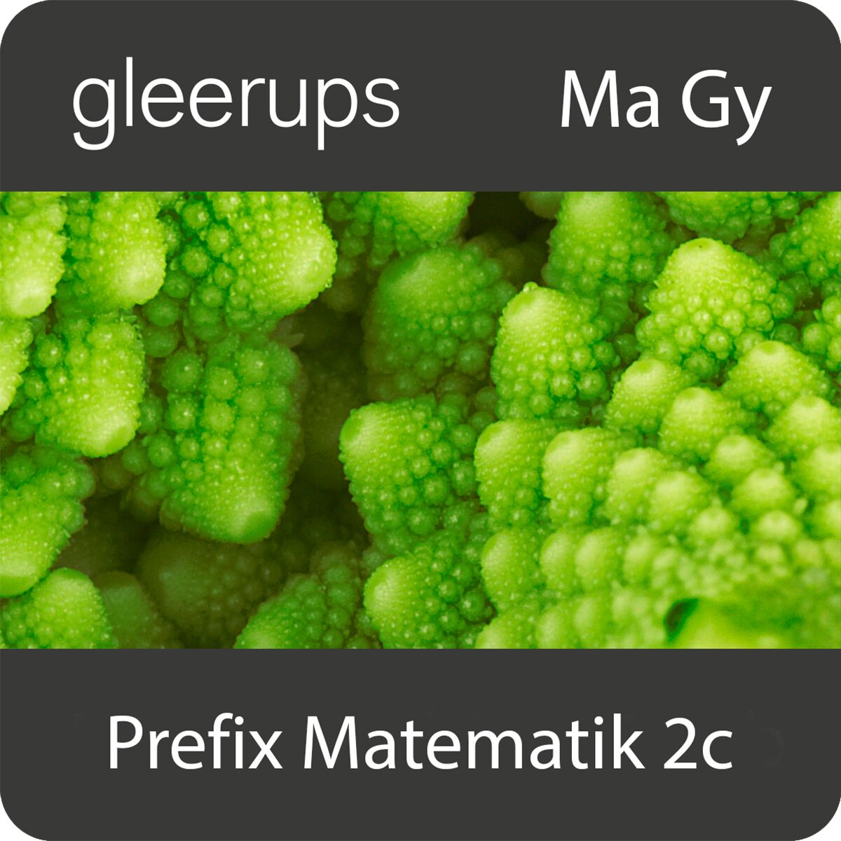 Prefix Matematik 2c, digitalt läromedel, elev, 12 mån - 9789151108490 ...